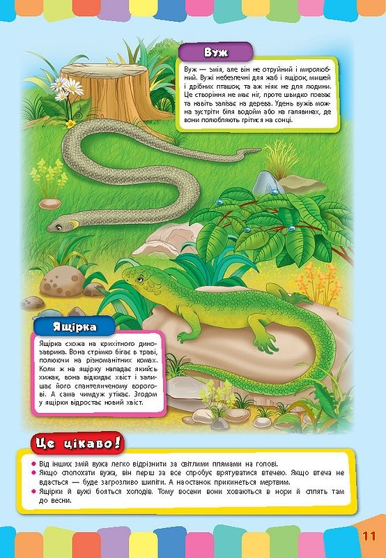 Чудо-наліпки.Доповни малюнок (укр) Ула (9789662841237) (314158 ...